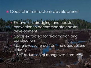 Hk Development Issues In The Philippines | PPTX | Environment | Science