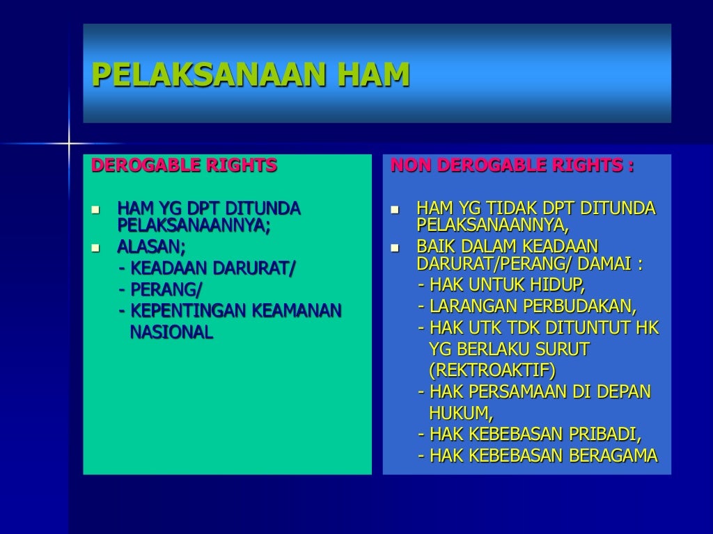 Materi Hukum Dan Ham Dalchaebi
