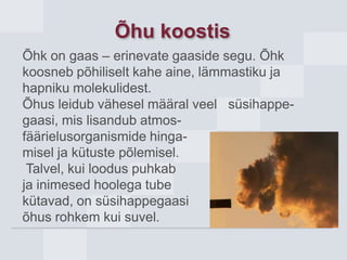 Õhk ja õhu_koostis | PPTX