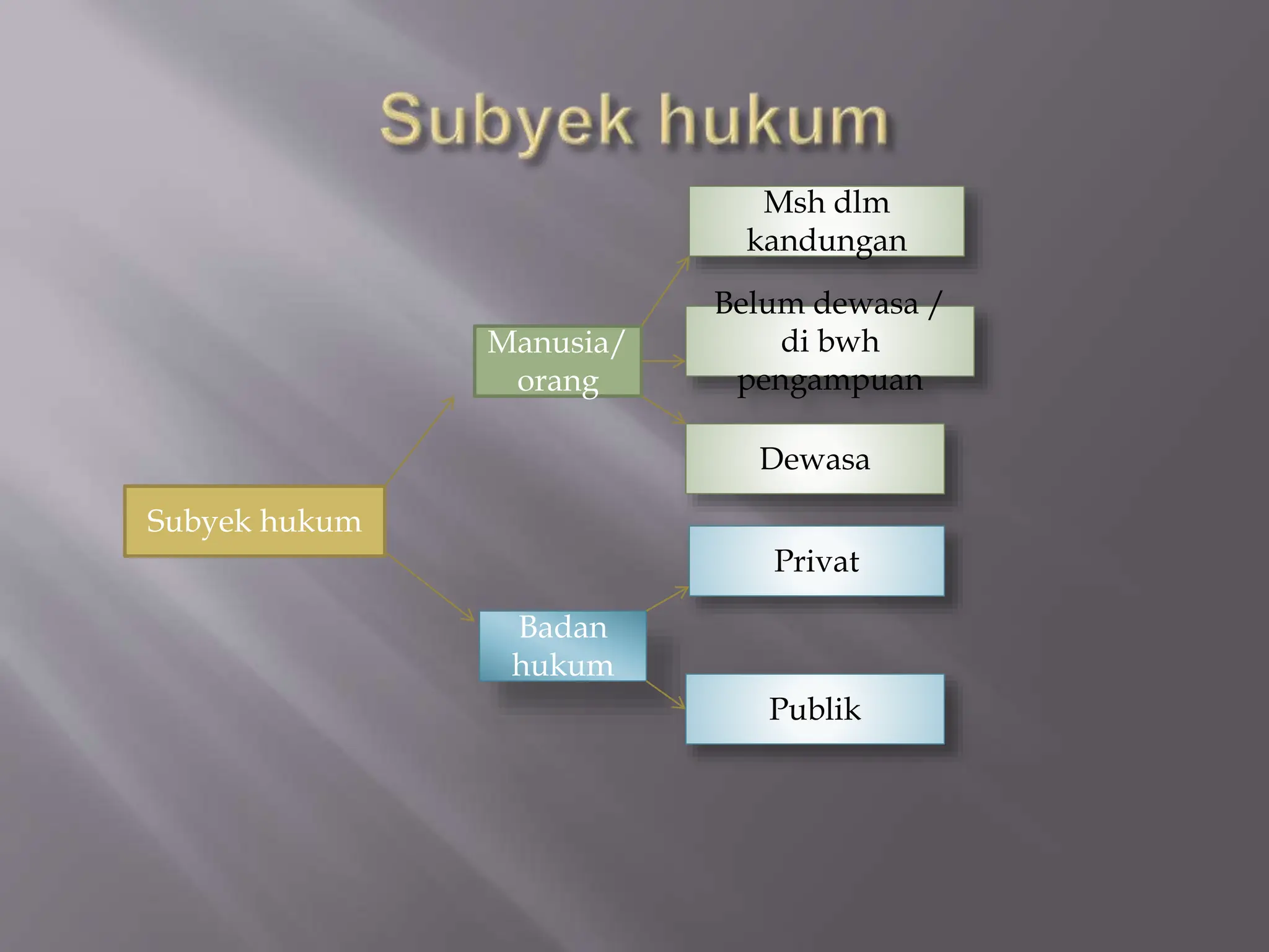 Hukum PERDATA PENGANTAR (Subyek Hukum).pptx