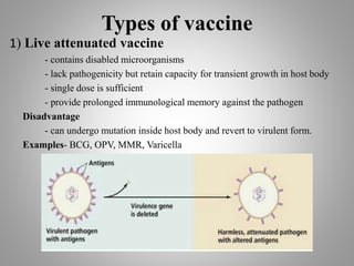 Presentation on Immunization | PPTX