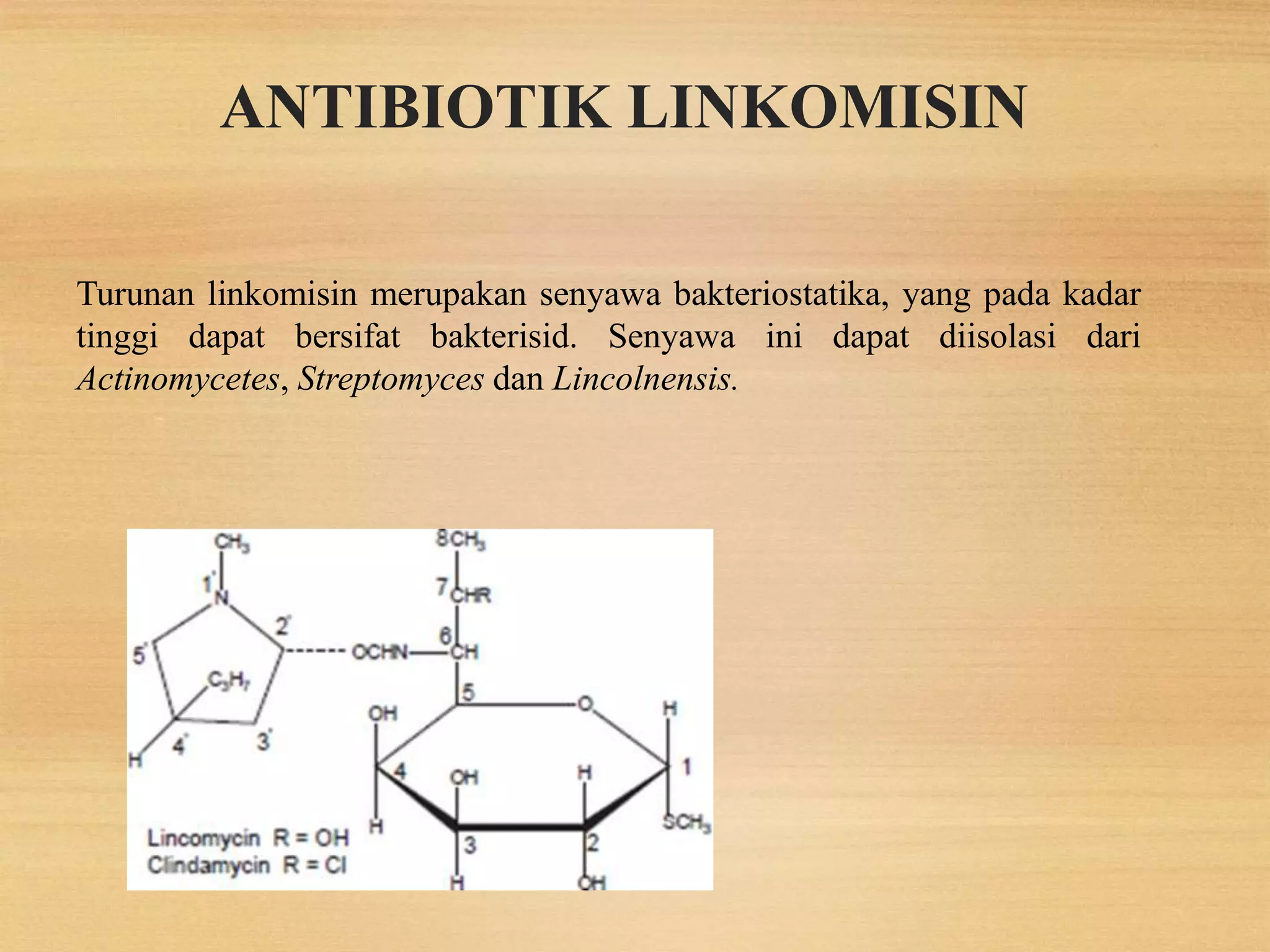 HKSA Antibiotik..pptx