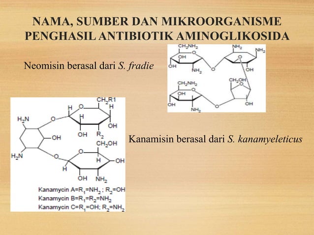 HKSA Antibiotik..pptx