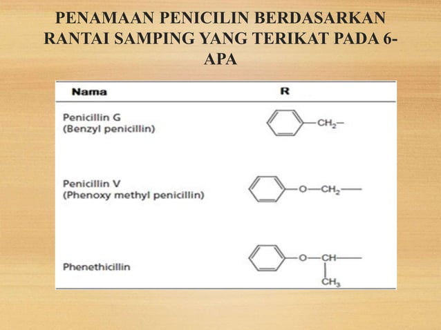 HKSA Antibiotik..pptx