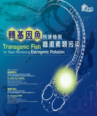 Transgenic fish for rapid monitoring of estrogenic endocrine disruptors ...