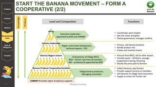 HKUST Nanyang MBA Banana Farms | PPT