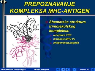 GENI I ANTIGENI TKIVNE PODUDARNOSTI | PPT