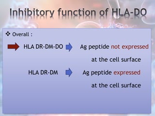 HLA-DO | PPT