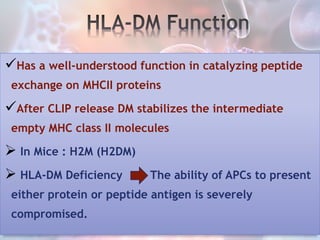 HLA-DO | PPT