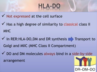 HLA-DO | PPT