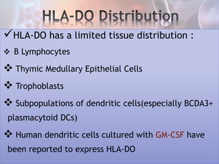 HLA-DO | PPT