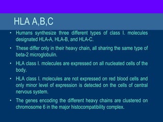 Hla and antigen presentation dr. ihsan alsaimary | PPT
