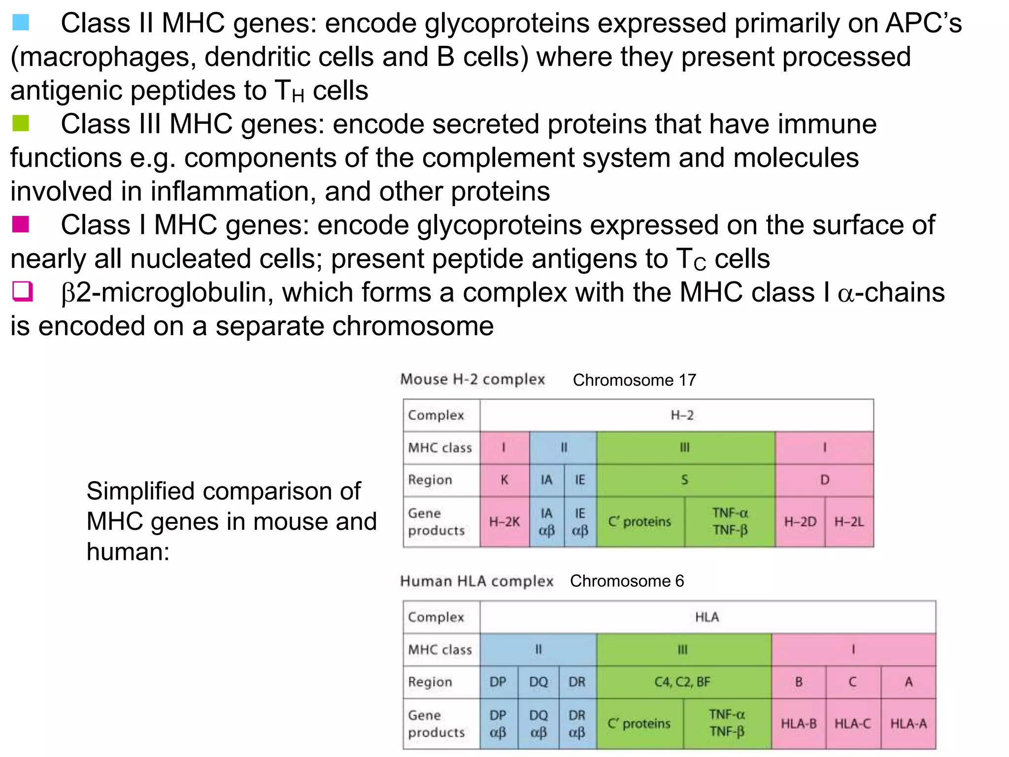 HLA and cytokines.ppt