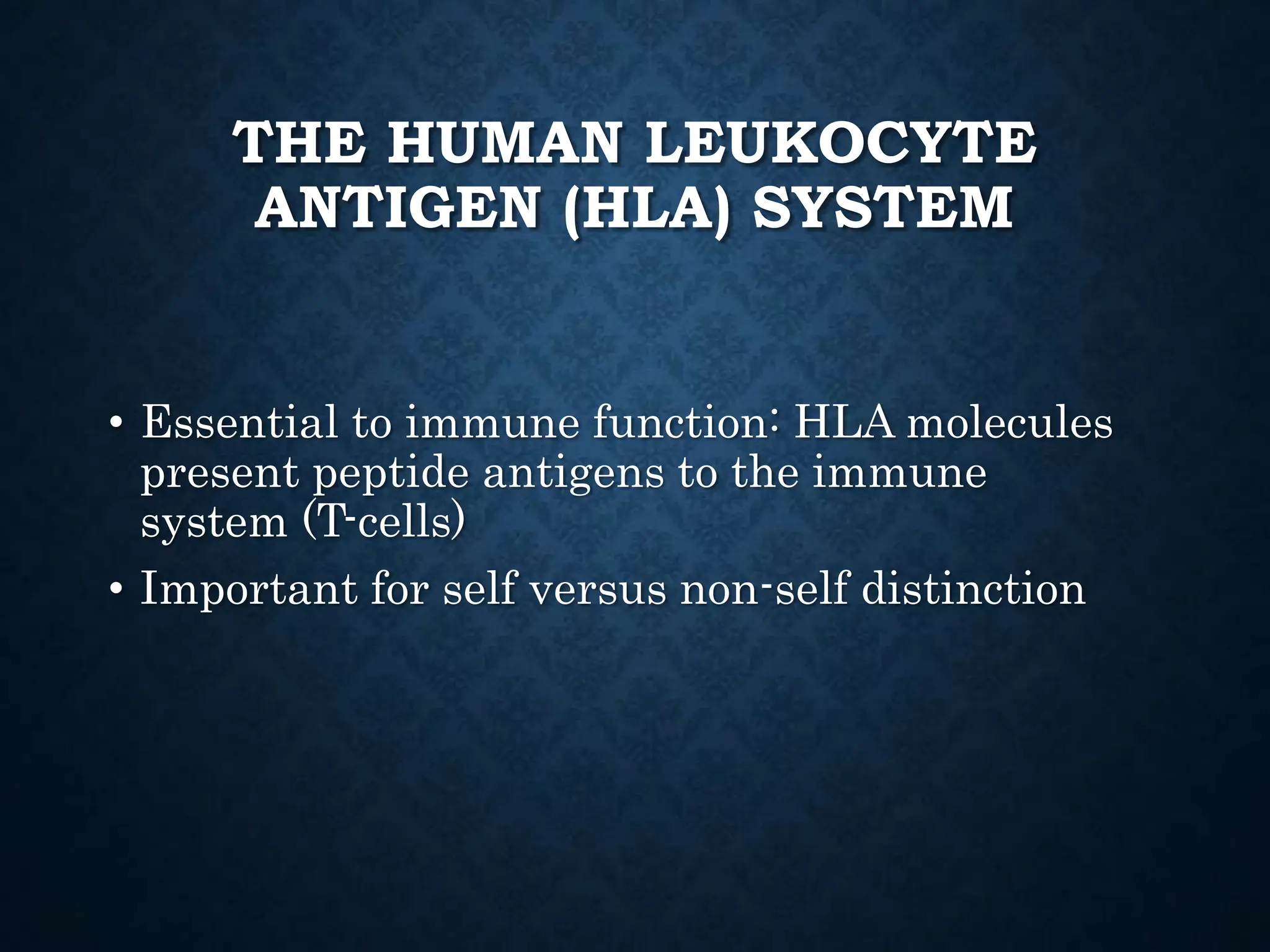 HLA human leukocyte antigen and MHC major histocompatibility complex. | PPT