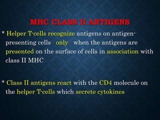 HLA human leukocyte antigen and MHC major histocompatibility complex. | PPT