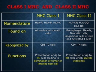 HLA human leukocyte antigen and MHC major histocompatibility complex. | PPT