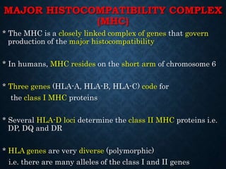 HLA human leukocyte antigen and MHC major histocompatibility complex. | PPT