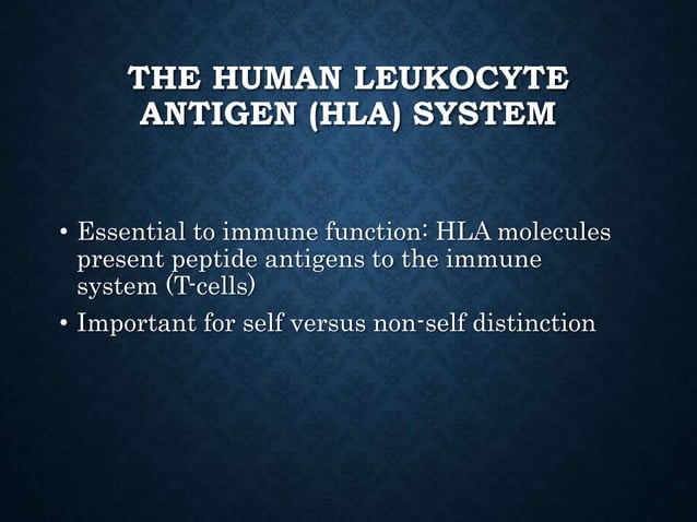 HLA human leukocyte antigen and MHC major histocompatibility complex. | PPT