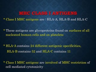 HLA human leukocyte antigen and MHC major histocompatibility complex. | PPT