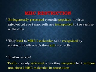 HLA human leukocyte antigen and MHC major histocompatibility complex. | PPT