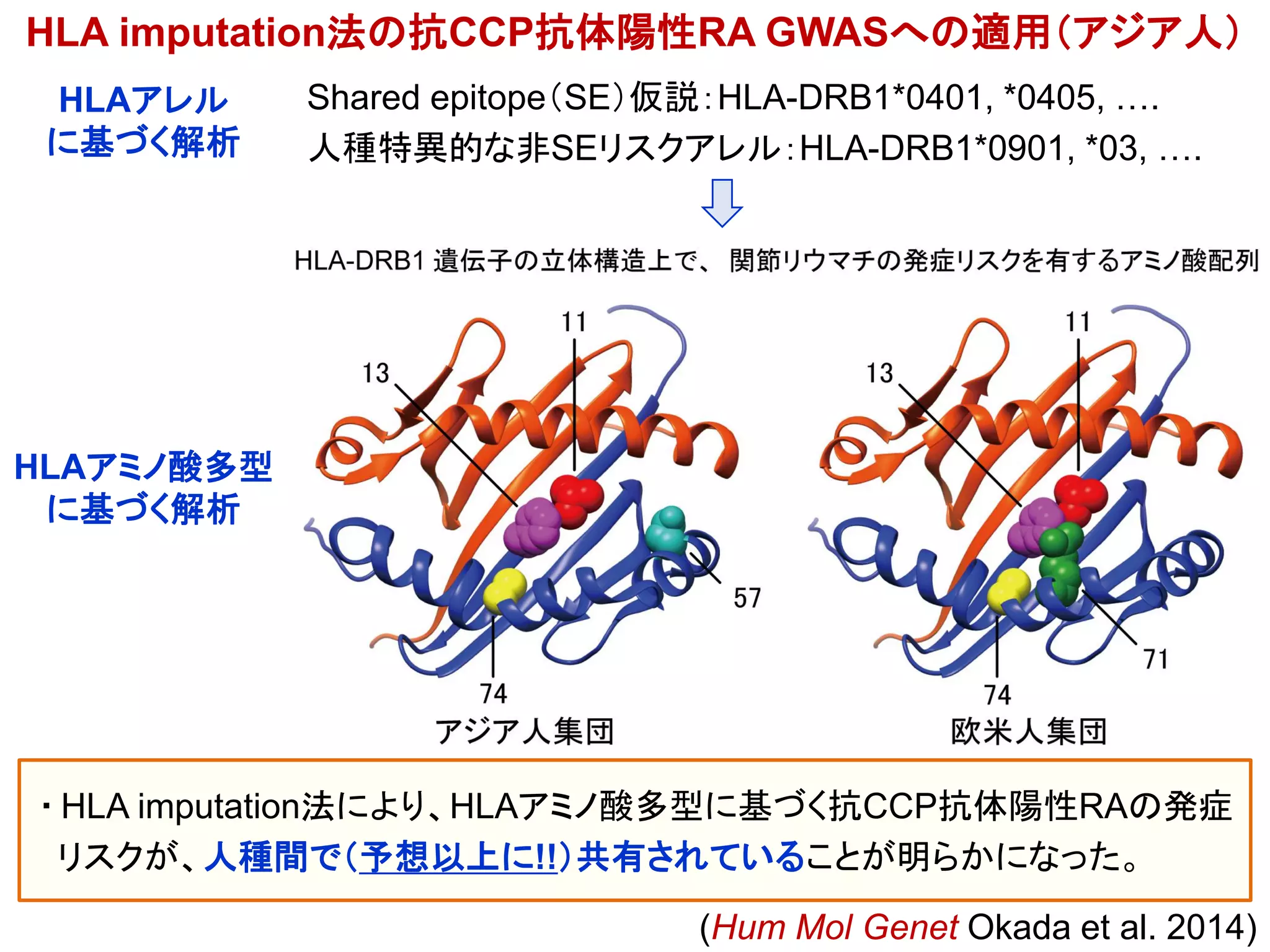 HLA/MICA imputation法によるMHC領域内遺伝リスクのfine-mapping | PDF