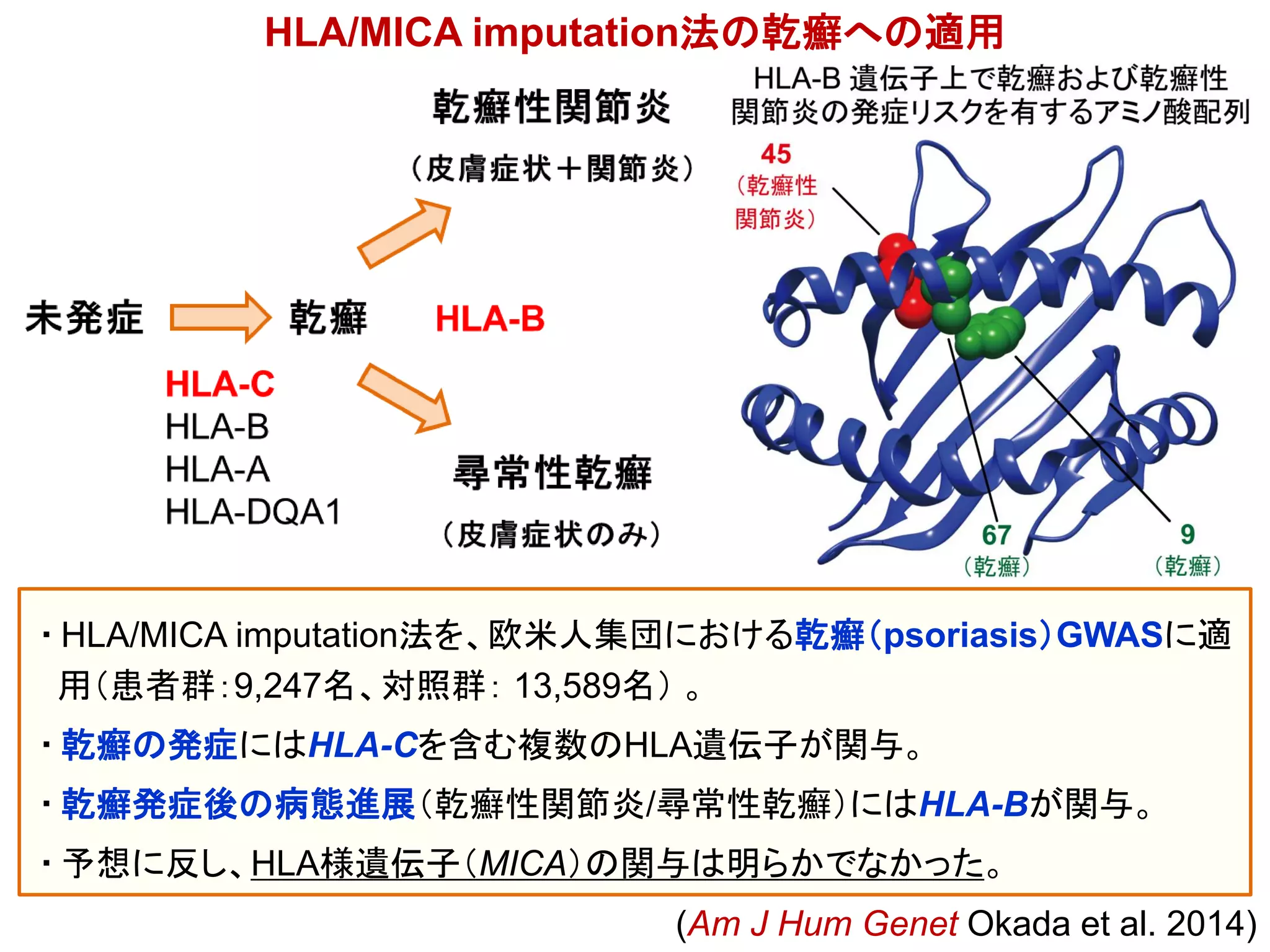 HLA/MICA imputation法によるMHC領域内遺伝リスクのfine-mapping | PDF