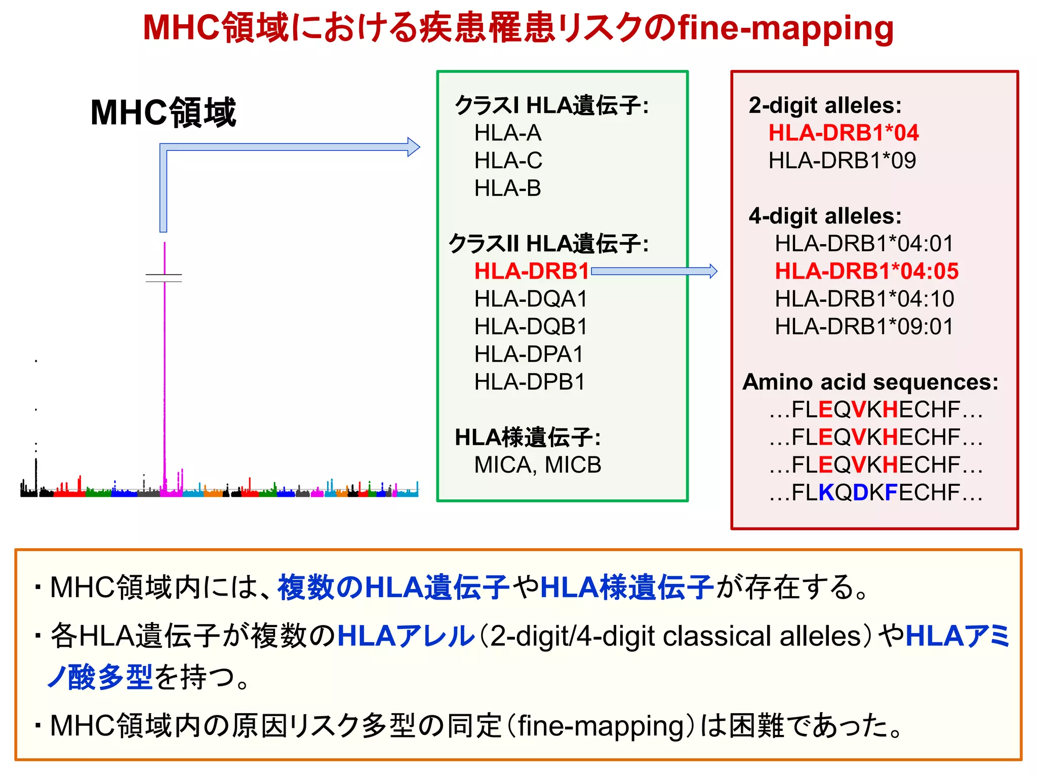 HLA/MICA imputation法によるMHC領域内遺伝リスクのfine-mapping | PDF