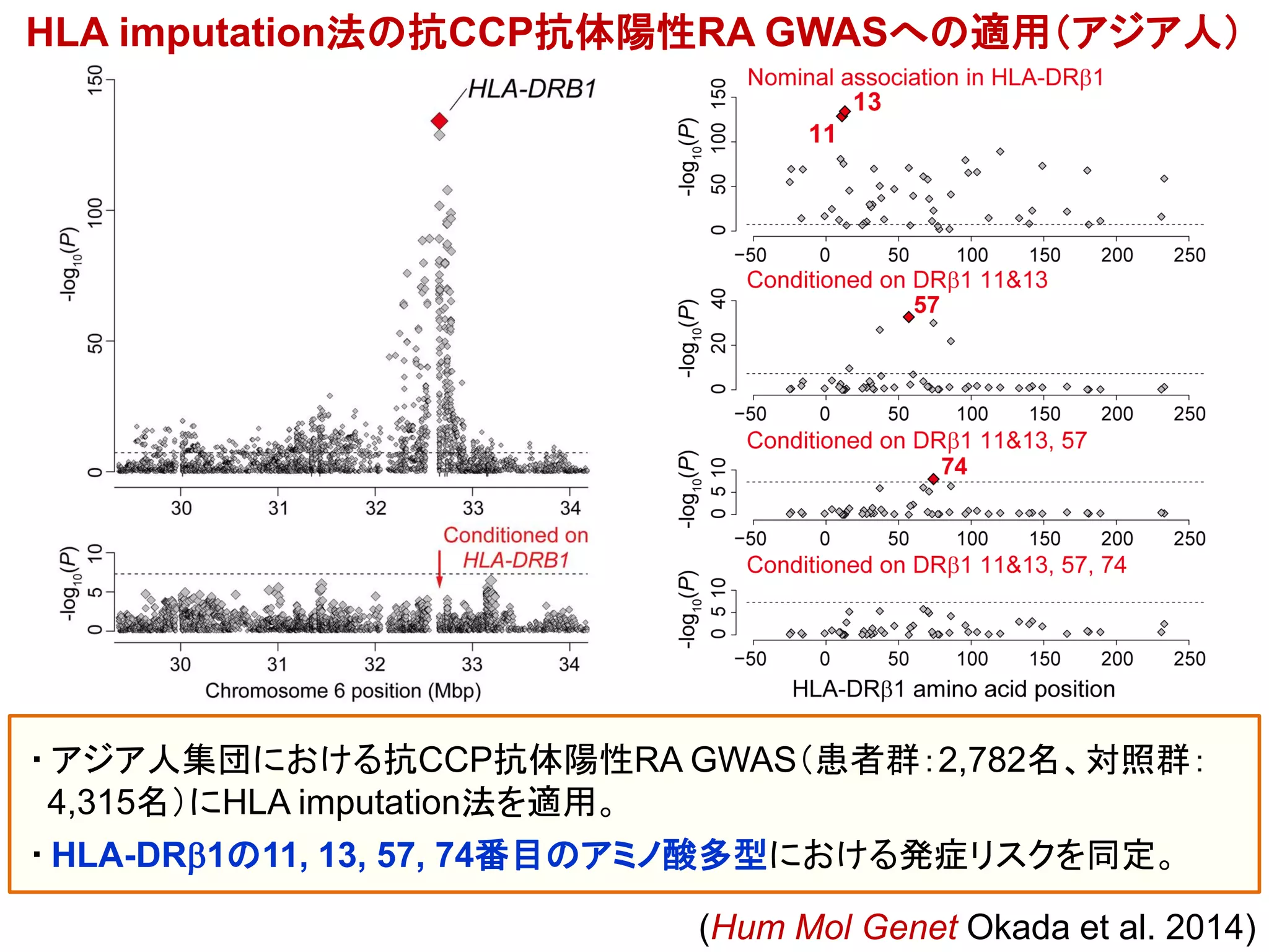 HLA/MICA imputation法によるMHC領域内遺伝リスクのfine-mapping | PDF