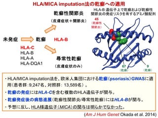 HLA/MICA imputation法によるMHC領域内遺伝リスクのfine-mapping | PDF