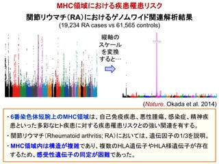 HLA/MICA imputation法によるMHC領域内遺伝リスクのfine-mapping | PDF