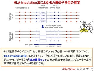 HLA/MICA imputation法によるMHC領域内遺伝リスクのfine-mapping | PDF