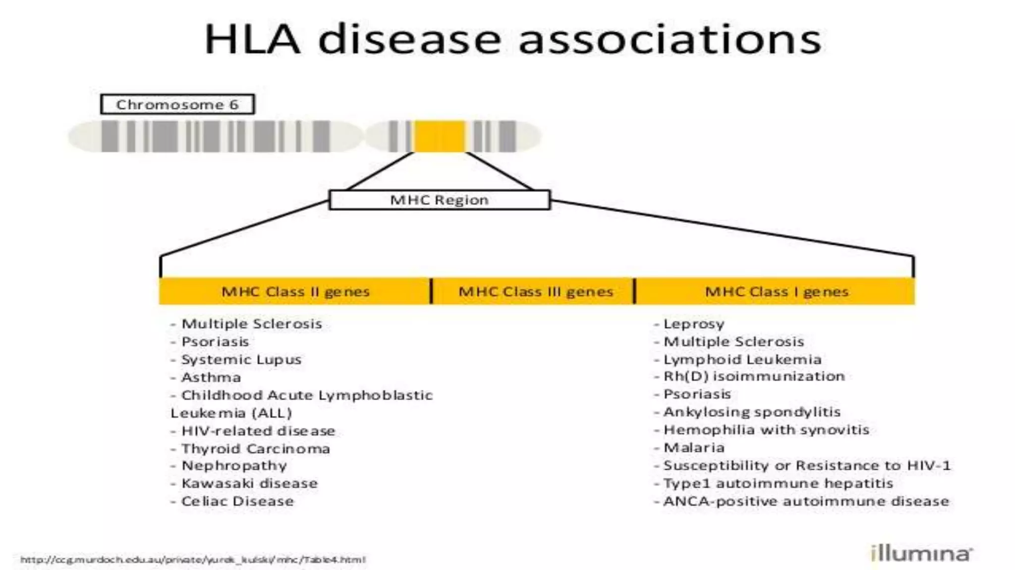 HLA in Disease | PPTX