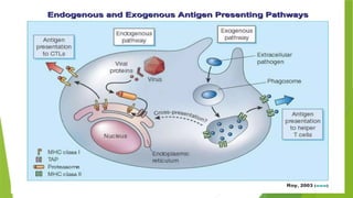 HLA System and the immune principles involved in Transplant & Mechanism ...