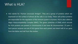 Hla testing | PPTX