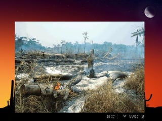 Latin America Environmental Issues | PPT