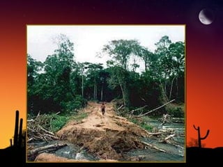 Latin America Environmental Issues | PPT