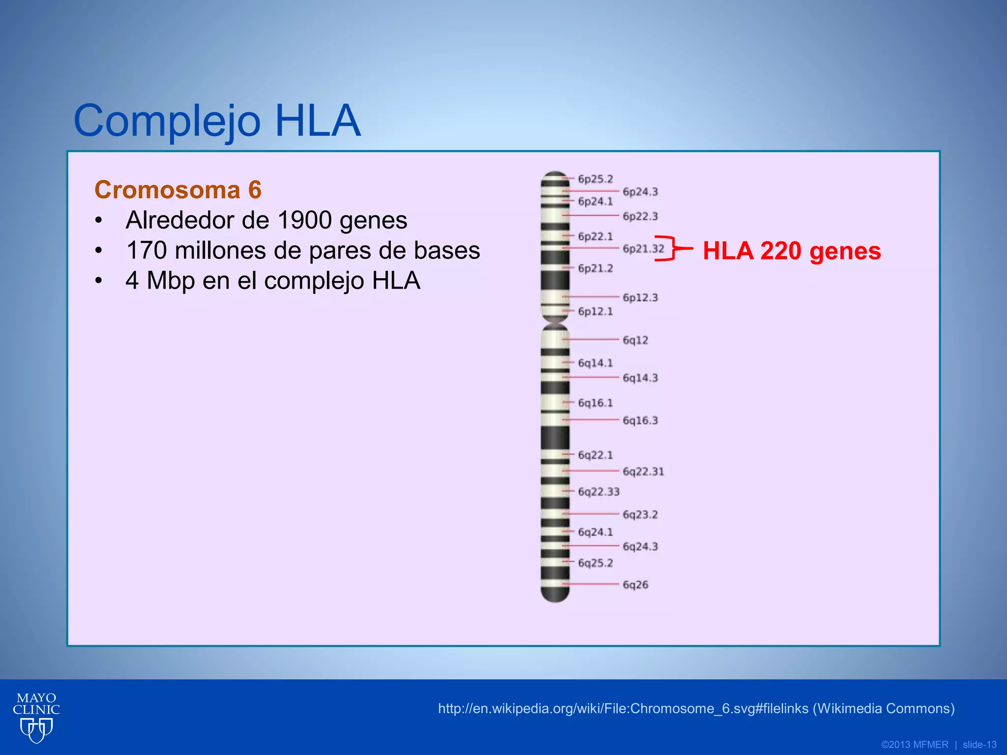 HLA Tipificación_Marcelo Pando | PPT