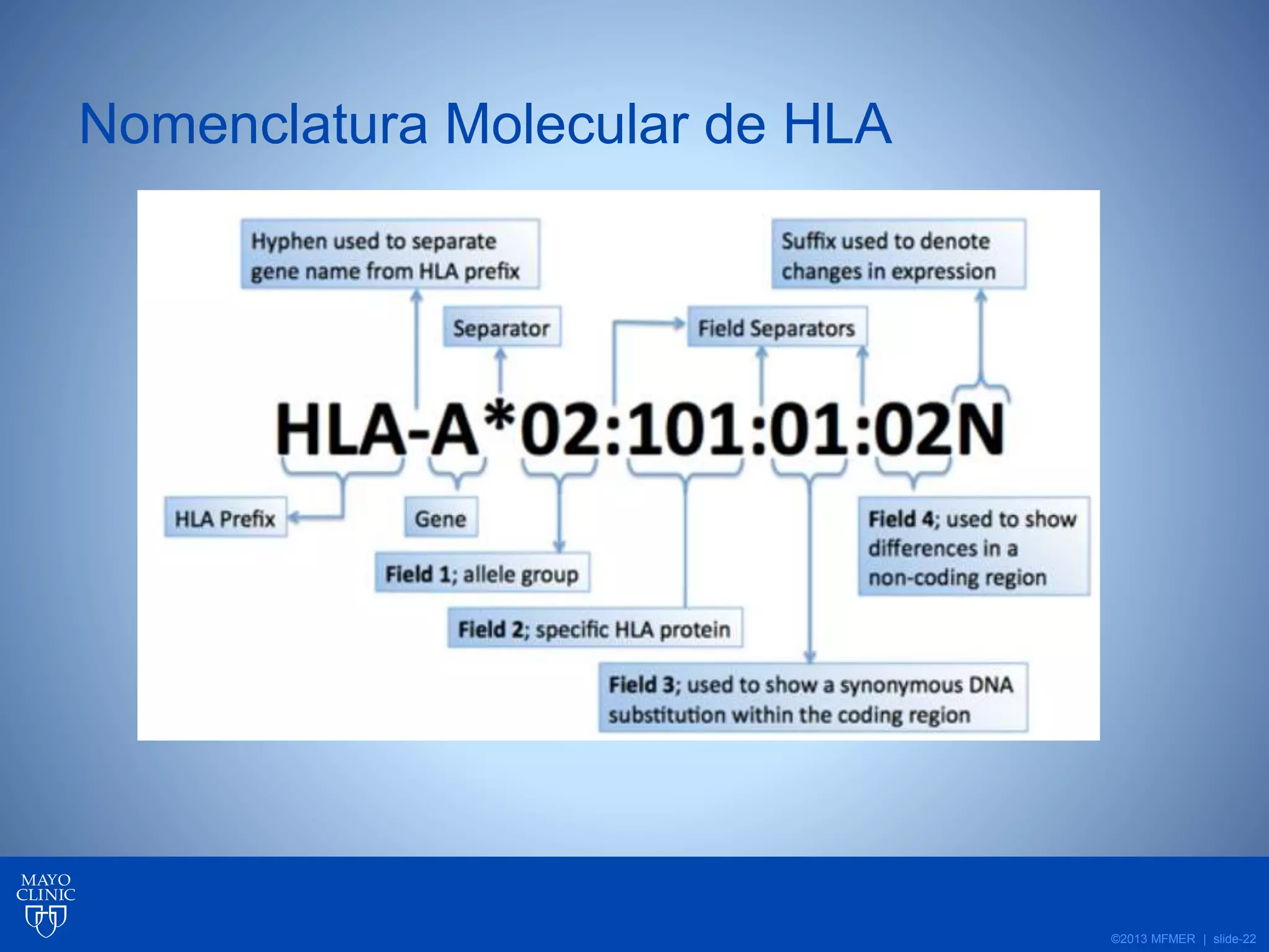 HLA Tipificación_Marcelo Pando | PPT
