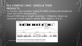HLA & TISSUE TRANSPLANTATION K R.pptx