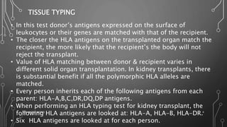 HLA & TISSUE TRANSPLANTATION K R.pptx