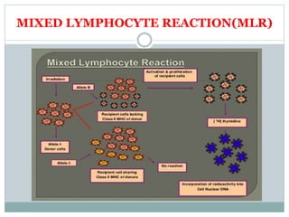 HLA tissue typing, HLA matching ,Microcytotoxicity test , Mixed ...