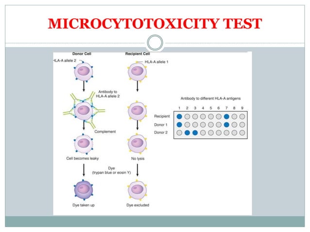 HLA tissue typing, HLA matching ,Microcytotoxicity test , Mixed ...