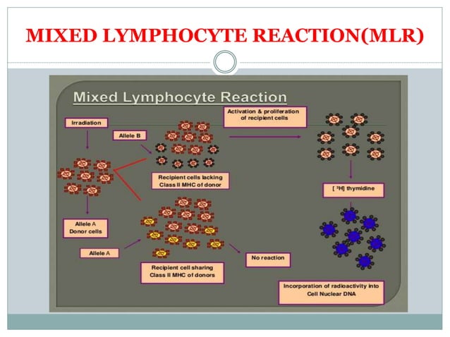 HLA tissue typing, HLA matching ,Microcytotoxicity test , Mixed ...