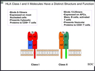HLA Transplant and Transfusion Medicine .ppt