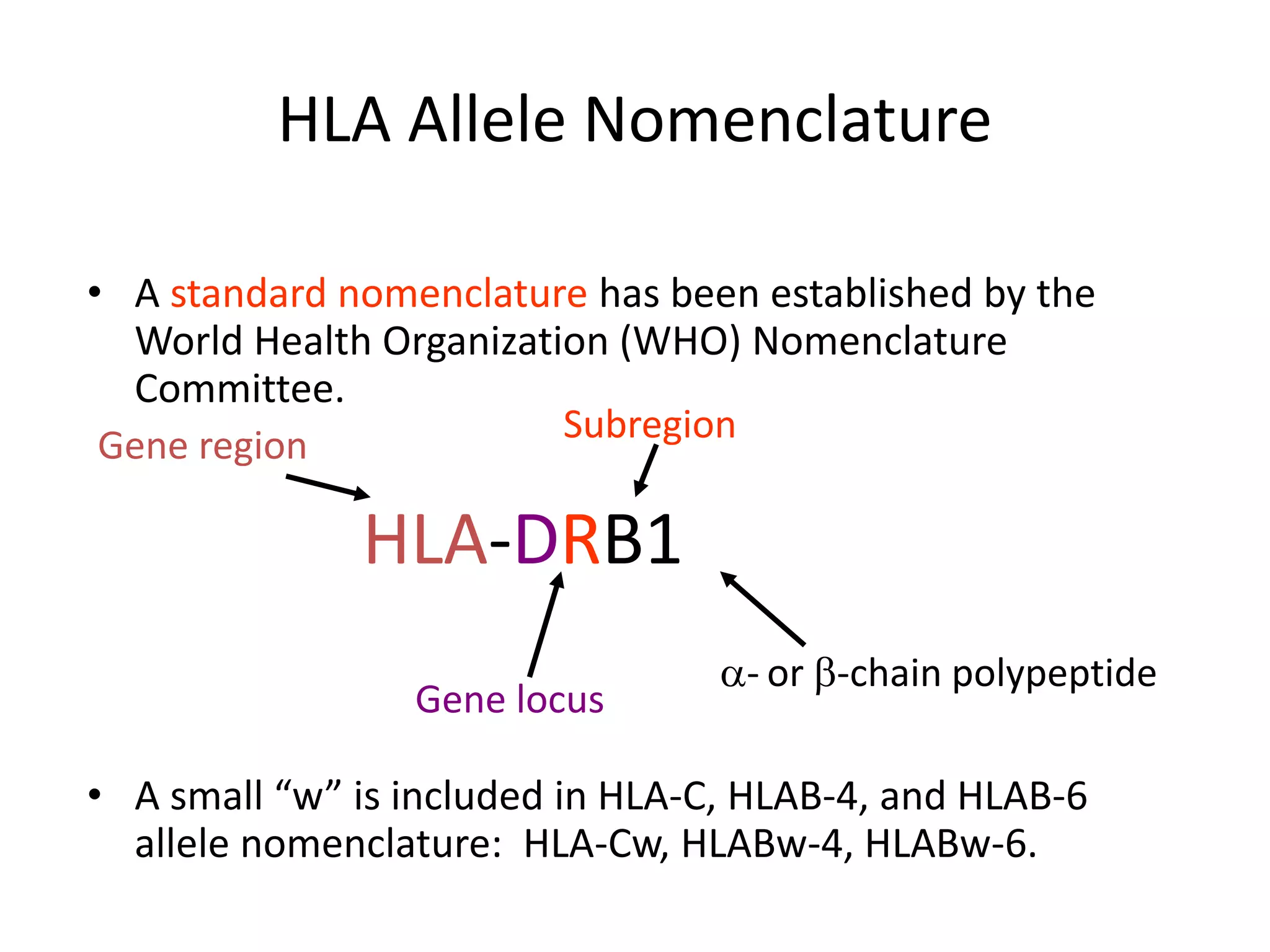 HLA typing.ppt