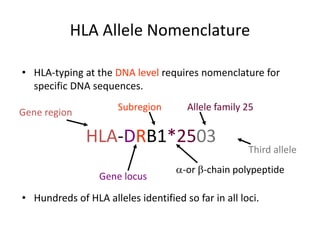 HLA typing.ppt