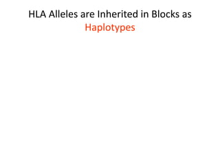 HLA typing.ppt