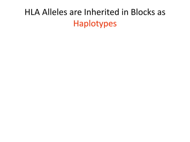 HLA typing.ppt