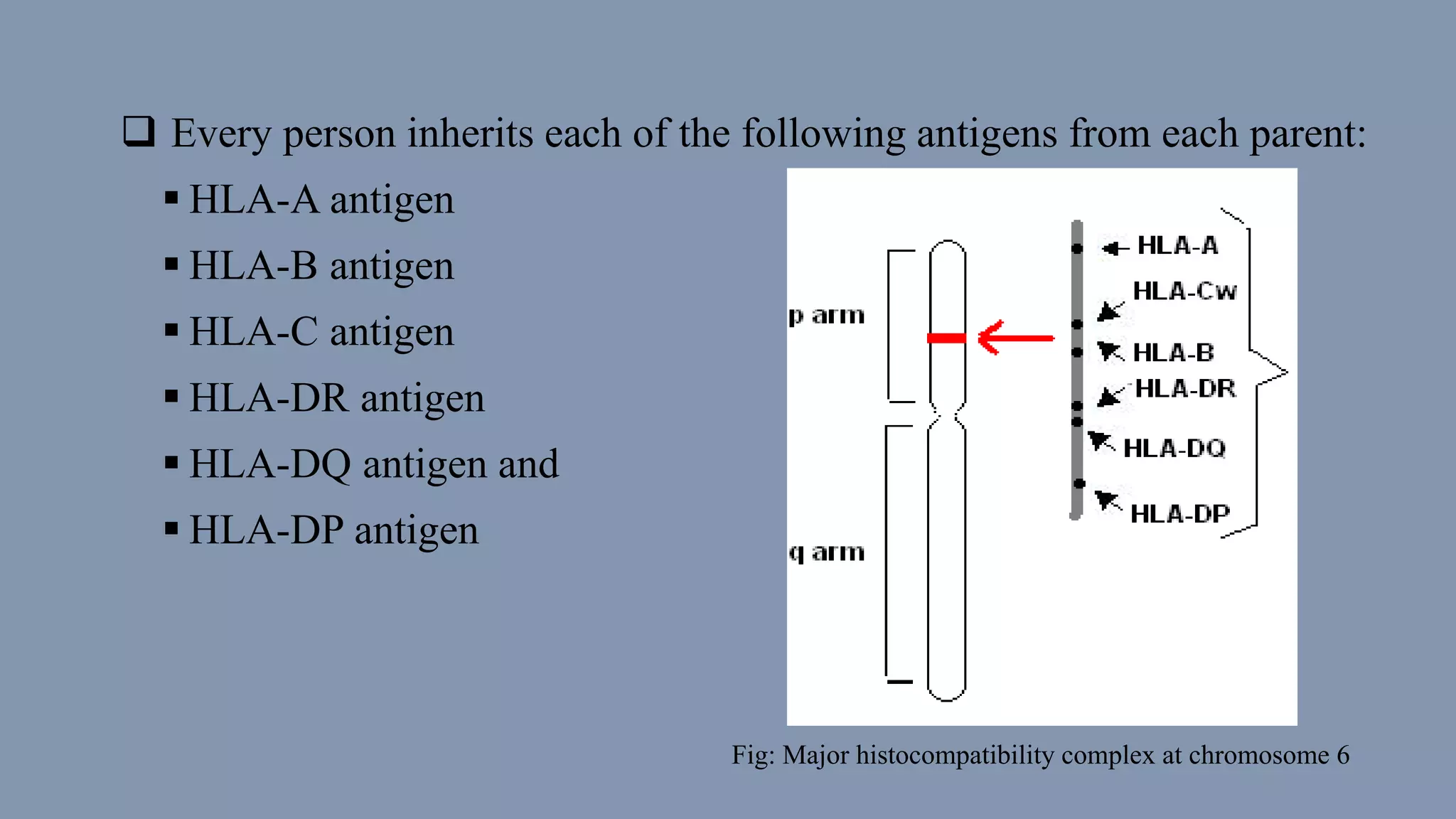 Hla typing and its role in tissue transplantation | PPTX