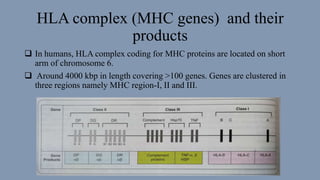 Hla typing and its role in tissue transplantation | PPTX